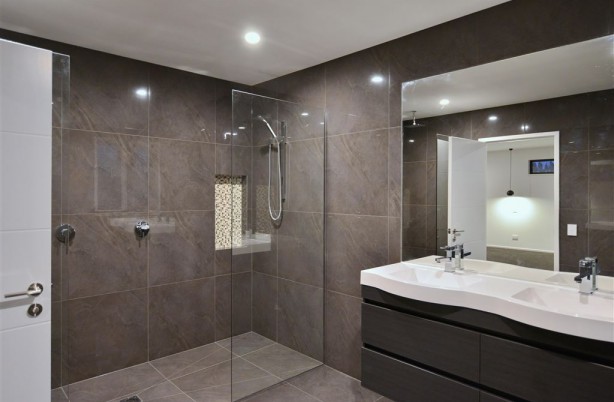 Bathroom » Reptiles