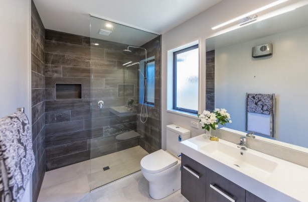 Bathroom » Reptiles