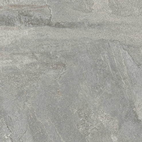 Stonebrook Fossil » Reptiles