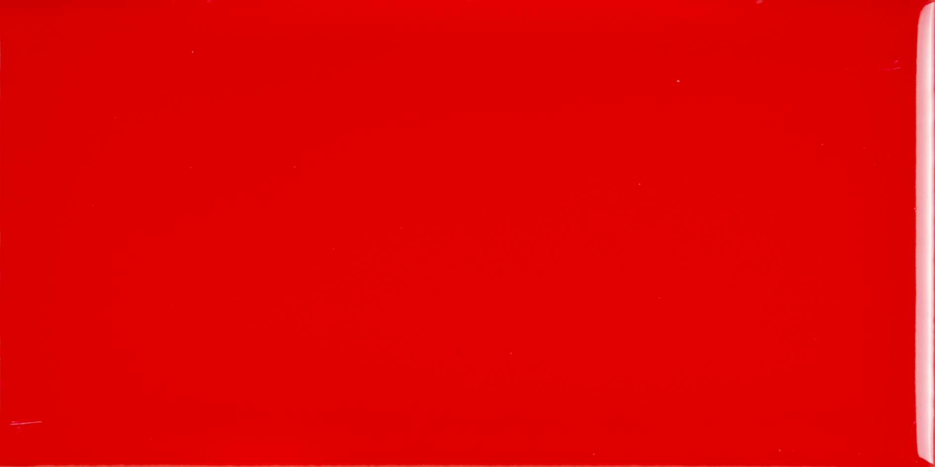 Red Gloss 75x150 » Reptiles