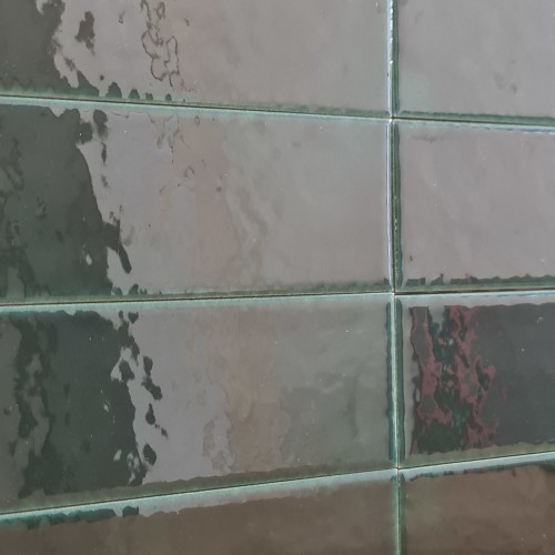 Feature Tiles » Reptiles