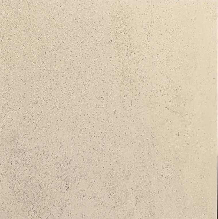 Pacific Mist Matt » Reptiles