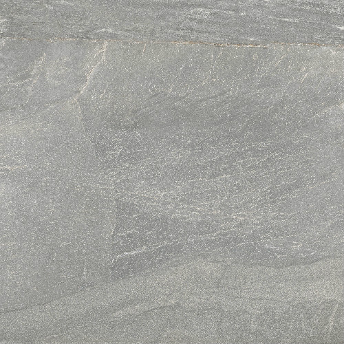 Floor Tiles Christchurch » Reptiles