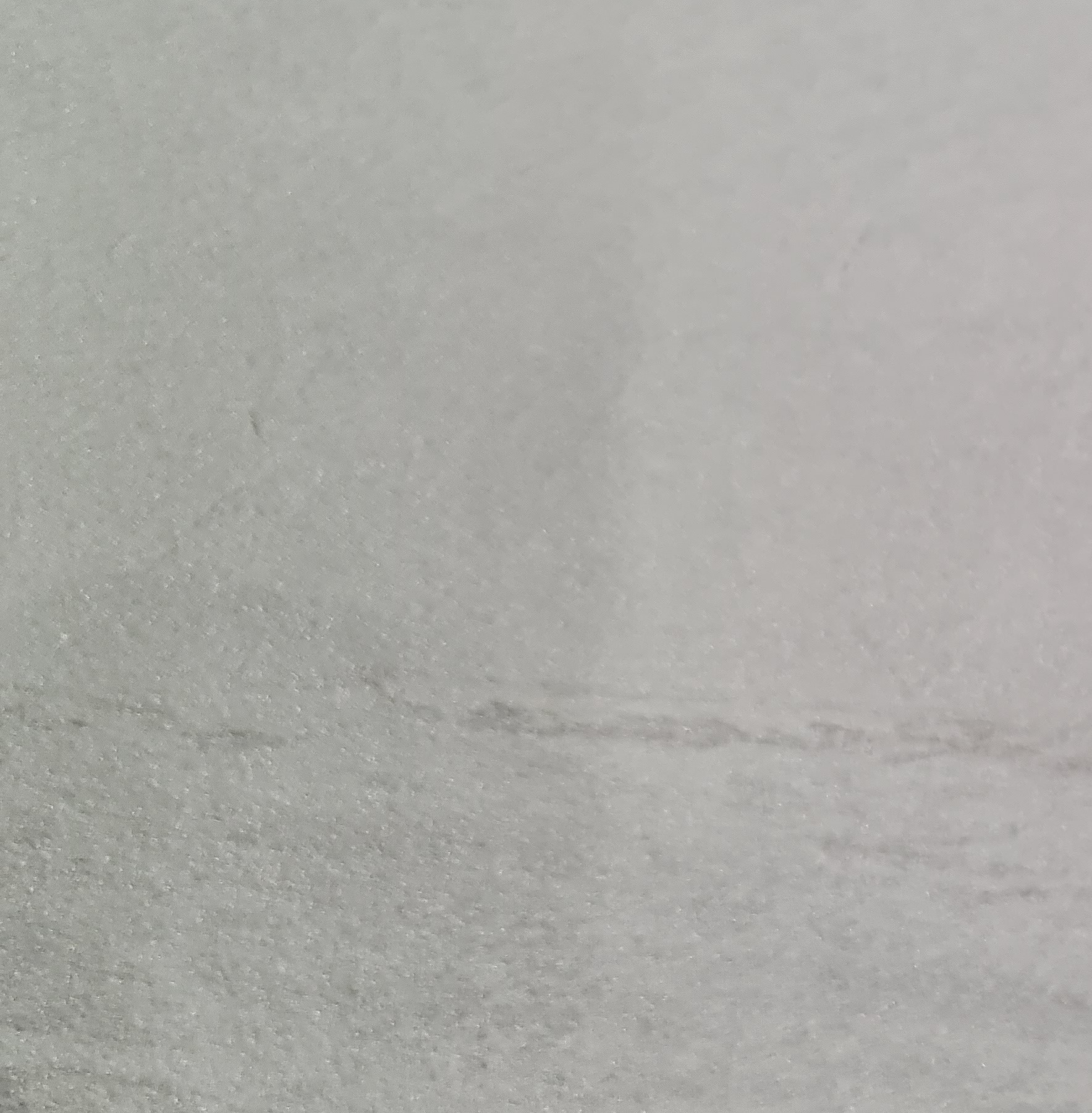 Stonebrook Luna Matt » Reptiles